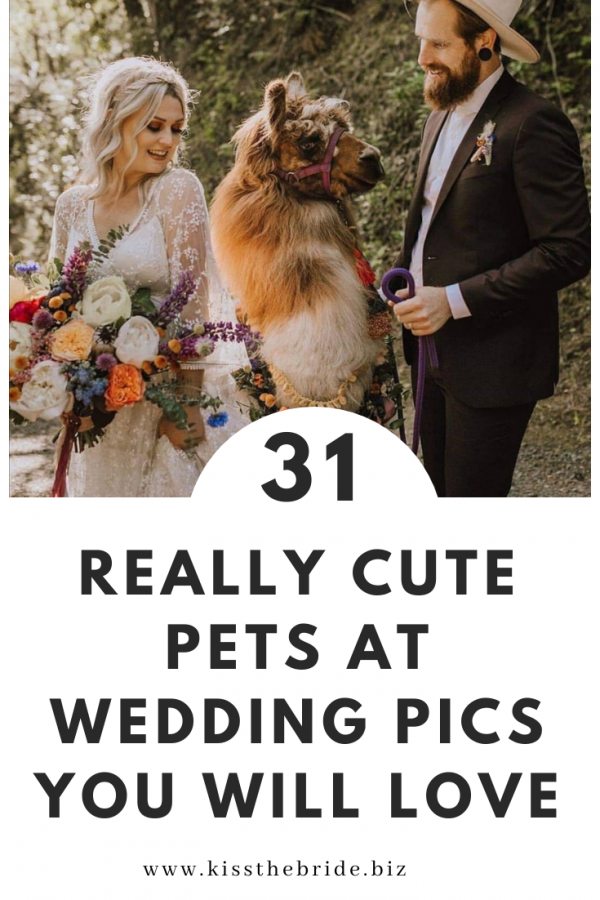 31 Really cute pets at Weddings pictures you need ~ KISS THE BRIDE MAGAZINE